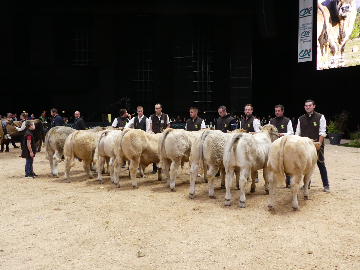 Photos & Vidéos - OS RACE AUBRAC